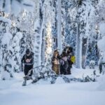 Private hiking tour in Korouoma Canyon - Frozen Waterfalls: The Highlight of Korouoma