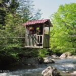 Private Hiking Tour to Mtirala National Park from Batumi - Firsthand Feedback