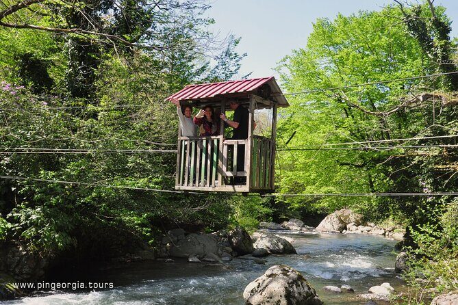 Private Hiking Tour to Mtirala National Park from Batumi - Firsthand Feedback