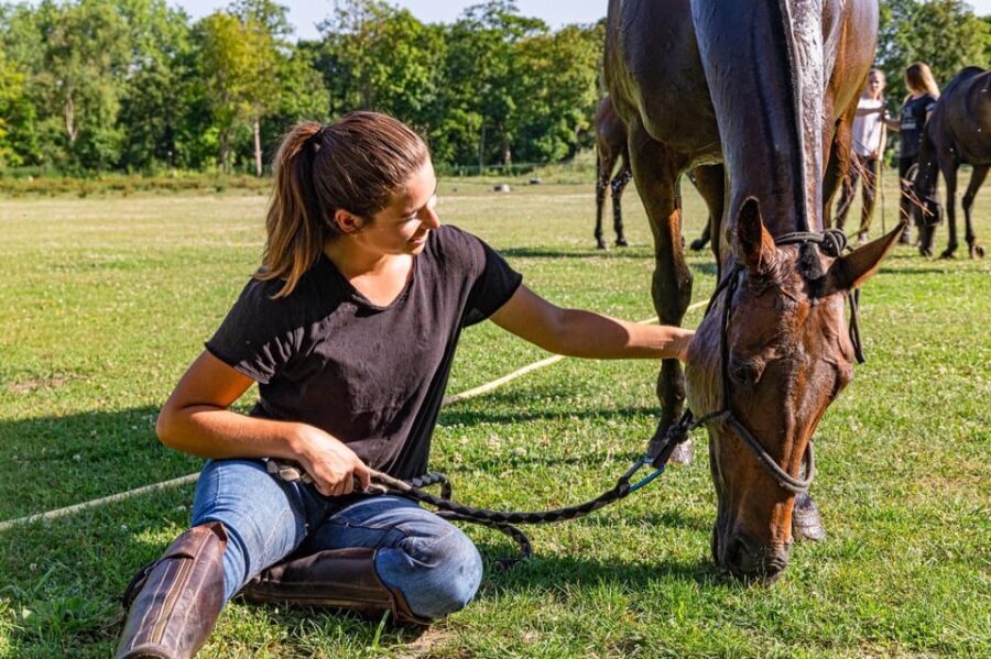 Private Horse Ride experience - Detailed Experience Breakdown