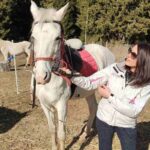 Private Horse Riding in Teteven Balkan from Sofia - An In-Depth Look at the Teteven Balkan Horseback Riding Tour