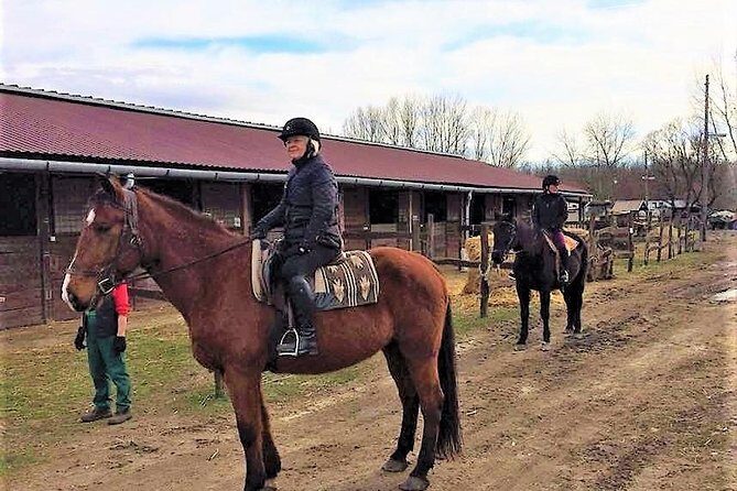 Private Horse Riding near Budapest with transport - Transportation and Pricing