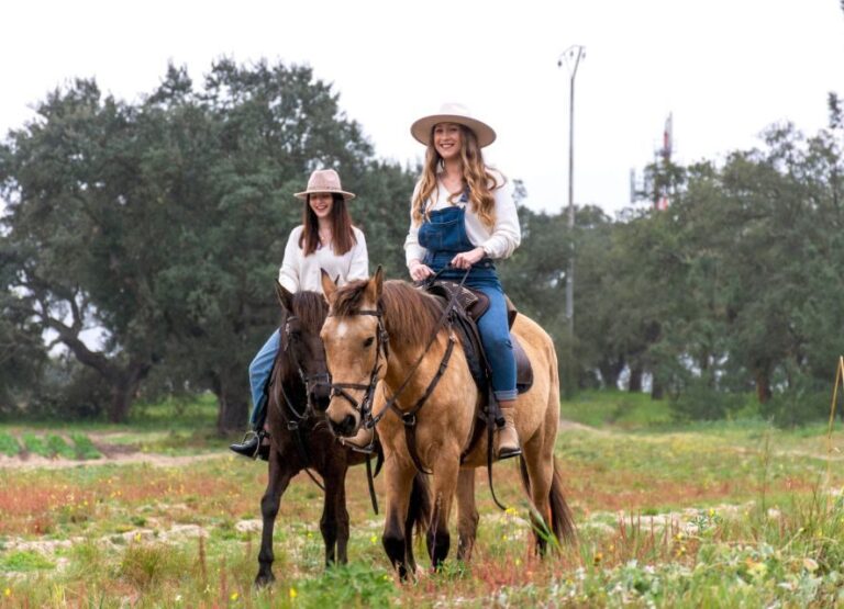 PRIVATE Horseback Riding On The Beach - Understanding the Experience: What to Expect from Start to Finish