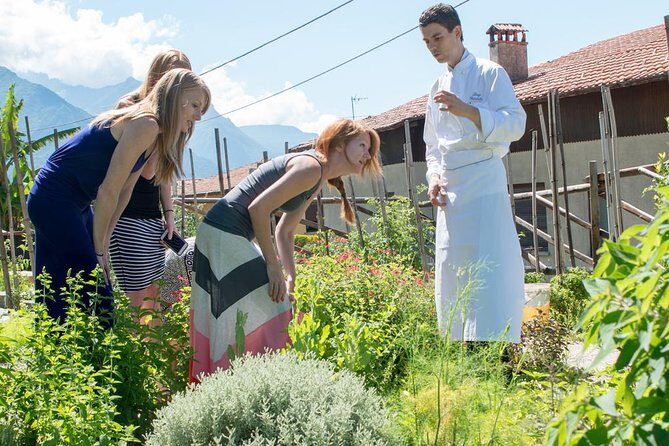 Private Hunting Of Truffle And Mushrooms With Chef Luigi Gandola In Bellagio - The Foraging Experience: Nature Meets Gastronomy