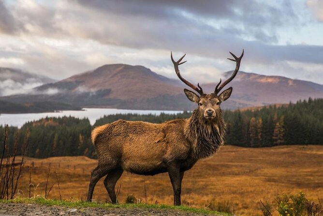 Private Isle of Skye Tour - Key Points