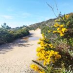 Private Jeep tour to Espichel Mysteries and Wild Beaches - Exploring the Itinerary: What You Can Expect