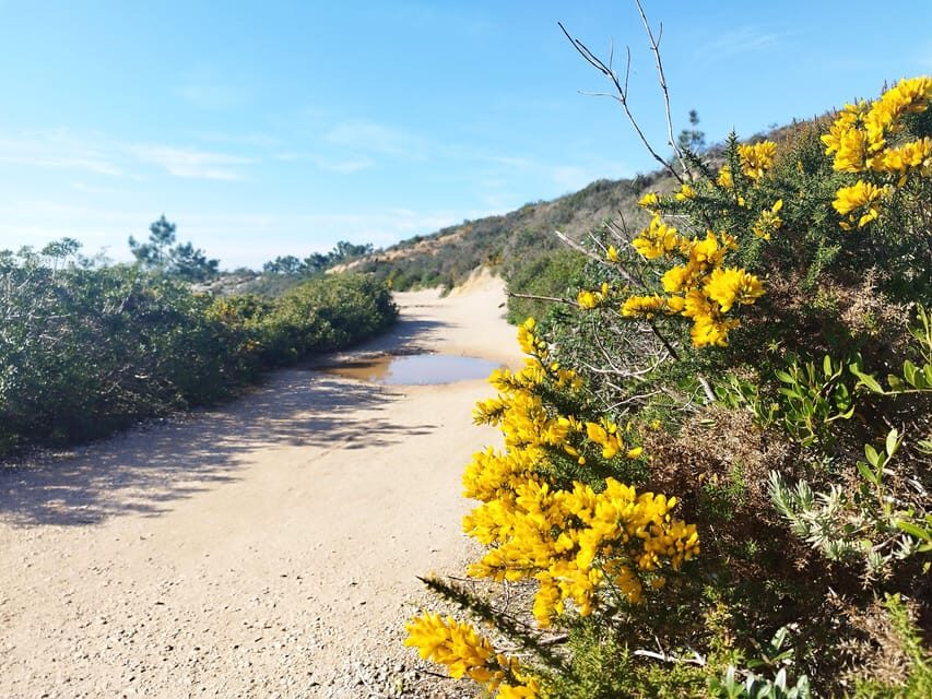 Private Jeep tour to Espichel Mysteries and Wild Beaches - Exploring the Itinerary: What You Can Expect