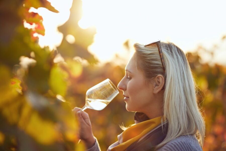 Private Knossos Skip The Line Tour inc. lunch & wine tasting - Discovering Crete: What to Expect on the Tour