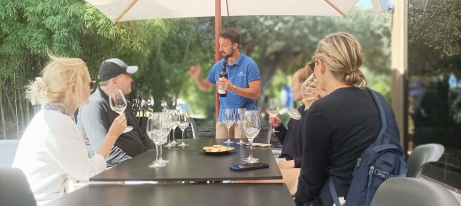 Private Lisbon Arrábida Wine Tour: Culture, Scenery & Wines - How the Experience Comes to Life