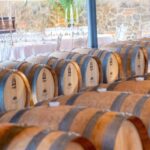Private Lunch or Dinner in San Gimignano Winery - The Itinerary: From Arrival to Farewell