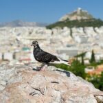 Private Luxury Biblical Tour: Apostle Paul in Athens & Corinth - Why This Tour Packs Value