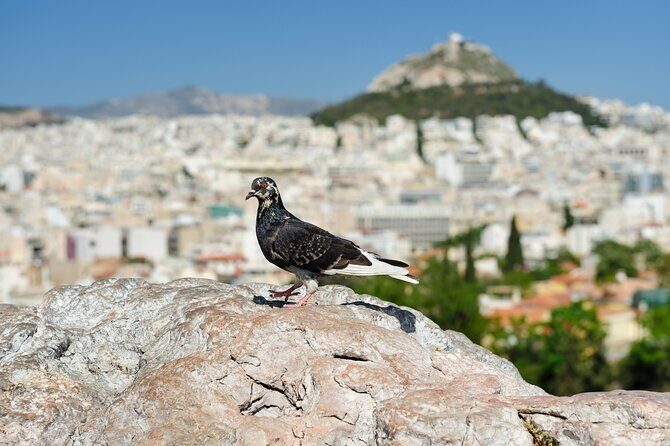 Private Luxury Biblical Tour: Apostle Paul in Athens & Corinth - Why This Tour Packs Value
