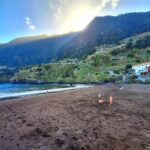 Private Madeira Complete Full Day Tour - Navigating the Cost and Value