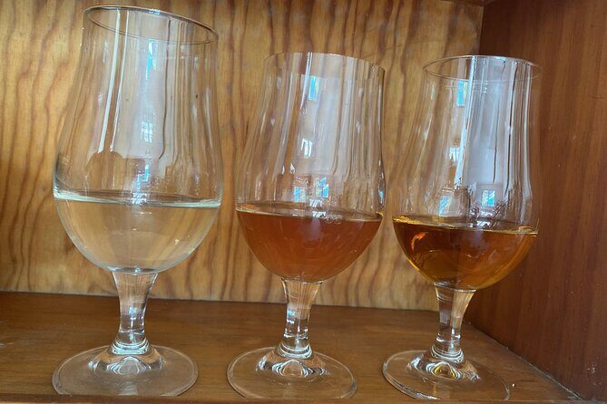 Private Mead Taste Experience in Lourdes - What Makes This Experience Stand Out