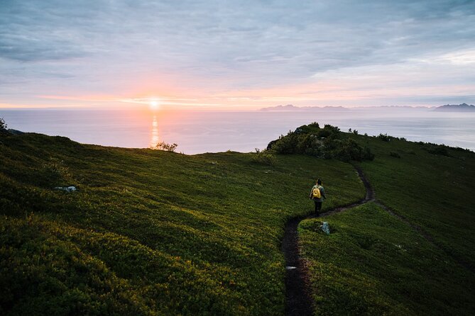 Private Midnight Tour To Gimsøya - Key Points