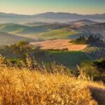 Private Montalcino and Pienza Tour from Siena - The Itinerary: What Makes Each Stop Special