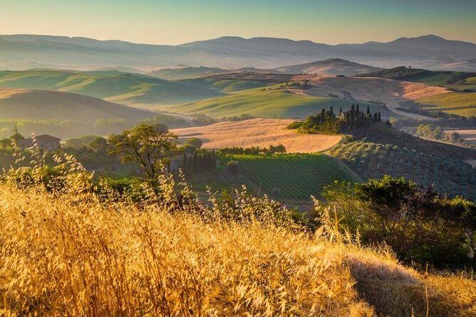 Private Montalcino and Pienza Tour from Siena - The Itinerary: What Makes Each Stop Special
