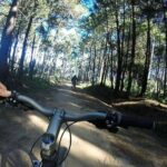 Private Mountain Biking Adventure in Sintra Cascais Park - The Itinerary: What to Expect