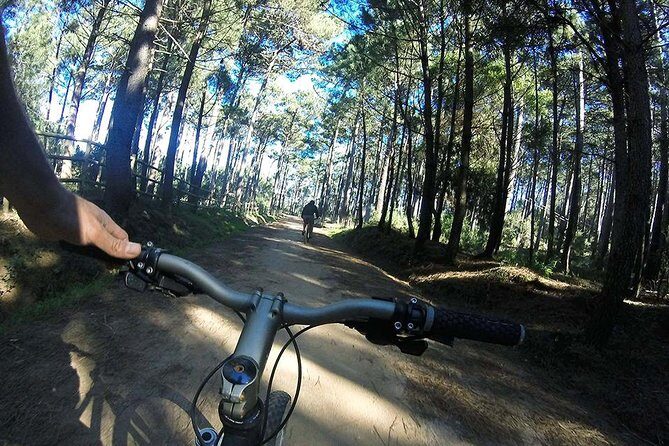Private Mountain Biking Adventure in Sintra Cascais Park - The Itinerary: What to Expect