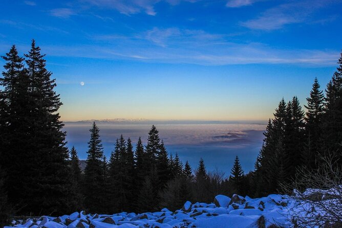 Private Mountain Biking in Vitosha from Sofia - Key Points