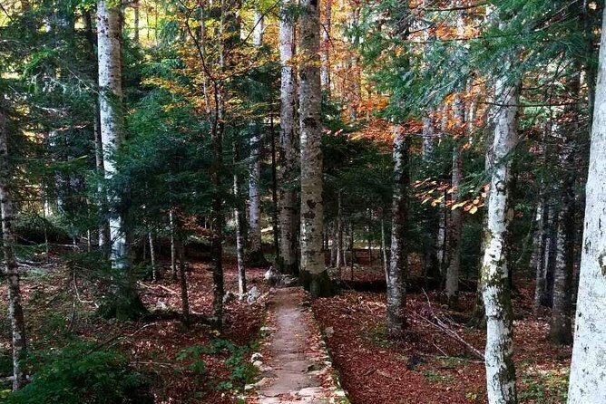 Private north Montenegro tour -Moraca River Canyon and walk trough Virgin Forest - An In-Depth Look at the North Montenegro Tour