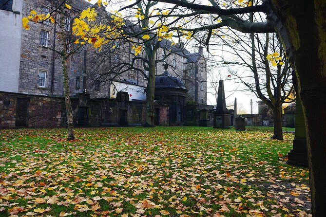 Private one hour Harry Potter walking tour - Why Guides Make All the Difference