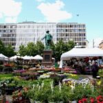 Private Oslo Tour with a Local, Highlights & Hidden Gems, 100% Personalised - The Realistic Expectations: Pros and Cons