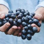 Private Oyster and Wine Tasting Day Trip along Peljesac - Who Will Love This Tour?