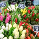 Private Paris Marche d'Aligre Walking Tour with Tastings - Final Thoughts