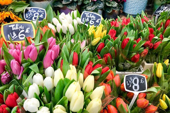Private Paris Marche d'Aligre Walking Tour with Tastings - Final Thoughts