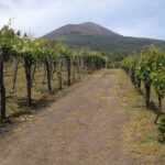 Private Pompeii, Herculaneum and Winery Tour from Naples - Frequently Asked Questions