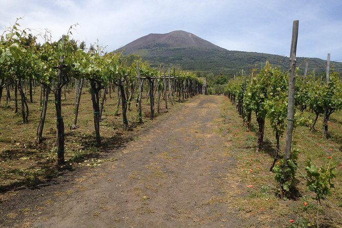 Private Pompeii, Herculaneum and Winery Tour from Naples - Frequently Asked Questions