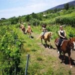 Private Pompeii, Horse Riding & Lunch Tour w/ Pick up included - Practical Details & Considerations