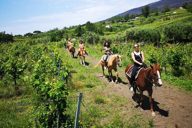 Private Pompeii, Horse Riding & Lunch Tour w/ Pick up included - Practical Details & Considerations