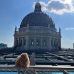 Private Potsdam Highlights: Half-Day Guided Tour Experience - Why This Tour Offers Great Value