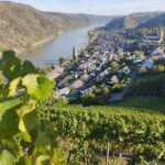 Private Rhine Valley tour with river cruise & wine tasting - An In-Depth Look at the Rhein Experience