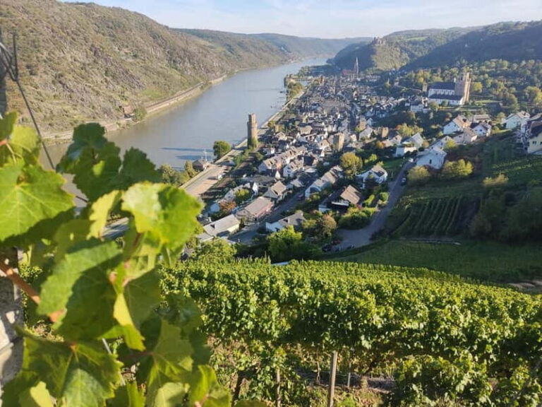 Private Rhine Valley tour with river cruise & wine tasting - An In-Depth Look at the Rhein Experience