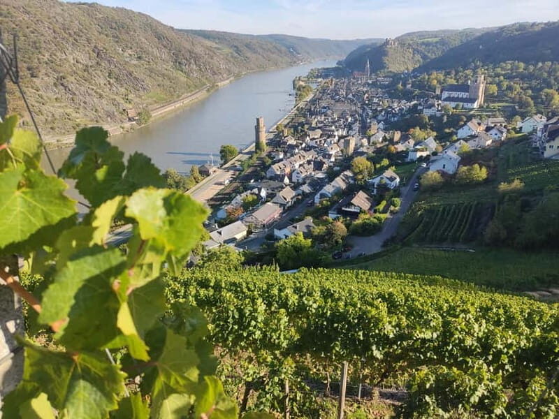 Private Rhine Valley tour with river cruise & wine tasting - An In-Depth Look at the Rhein Experience