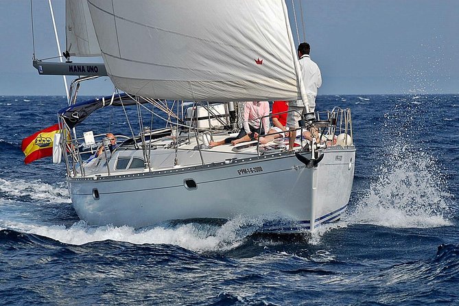 Private Sailing Through The Bay of Palma - Private Sailing Through The Bay of Palma: A Detailed Look