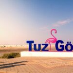 Private Salt Lake Tour - Who Should Consider This Tour?
