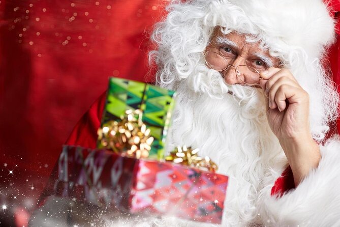 Private Santa Claus Village & Rovaniemi city tour - Discovering Rovaniemi with a Private Santa Claus Village & City Tour