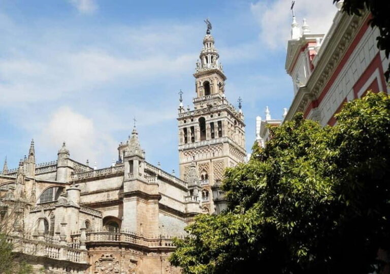 Private Seville: exclusive tour of Santa Cruz and the historic center - What makes this tour stand out?