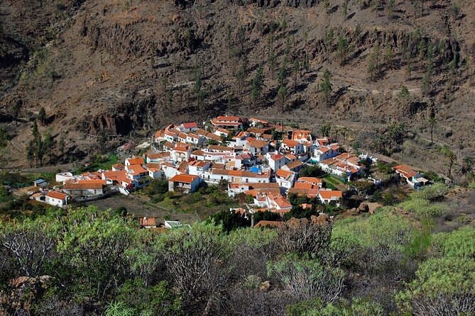 Private shore excursion in Gran Canaria the miniature continent - Key Points