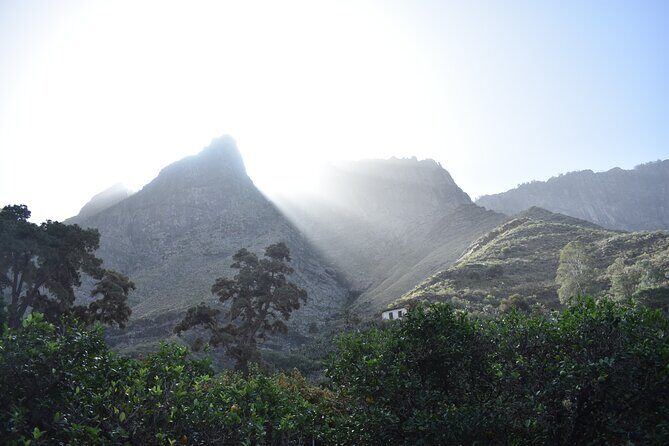 Private Shore Excursion in Gran Canaria - Authentic Experiences That Keep You Coming Back