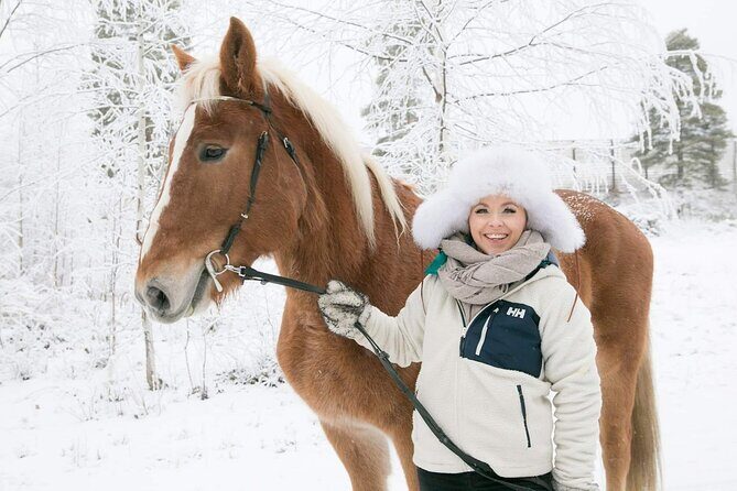 Private Sleigh Ride with Finnhorse - The Route and Scenic Highlights