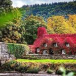 Private Snowdonia, Bodnant Gardens & Castles Tour - The Experience: What You Can Expect