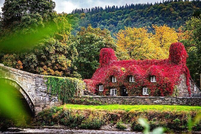 Private Snowdonia, Bodnant Gardens & Castles Tour - The Experience: What You Can Expect
