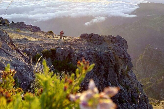 Private Sunrise Pico do Areeiro Half Day with easy levada walk - Authentic Experiences and Real Traveler Feedback