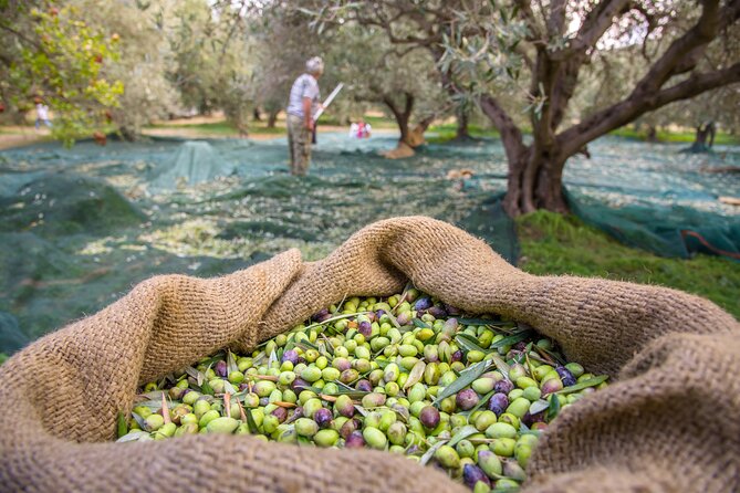Private Tailored Full-Day Taste Tour in Lefkada with Pick Up - Uncovering Lefkada’s Hidden Charms: A Practical Look at the Full-Day Taste Tour