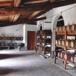 Private tasting of organic wines in the cellar in Arezzo - A Closer Look at the Experience